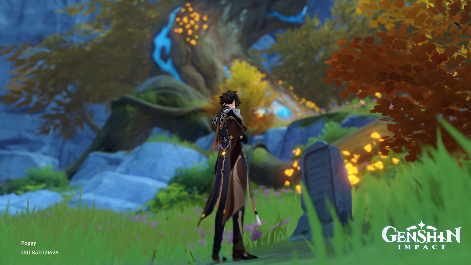 suyy Genshin Impact | HoYoLAB