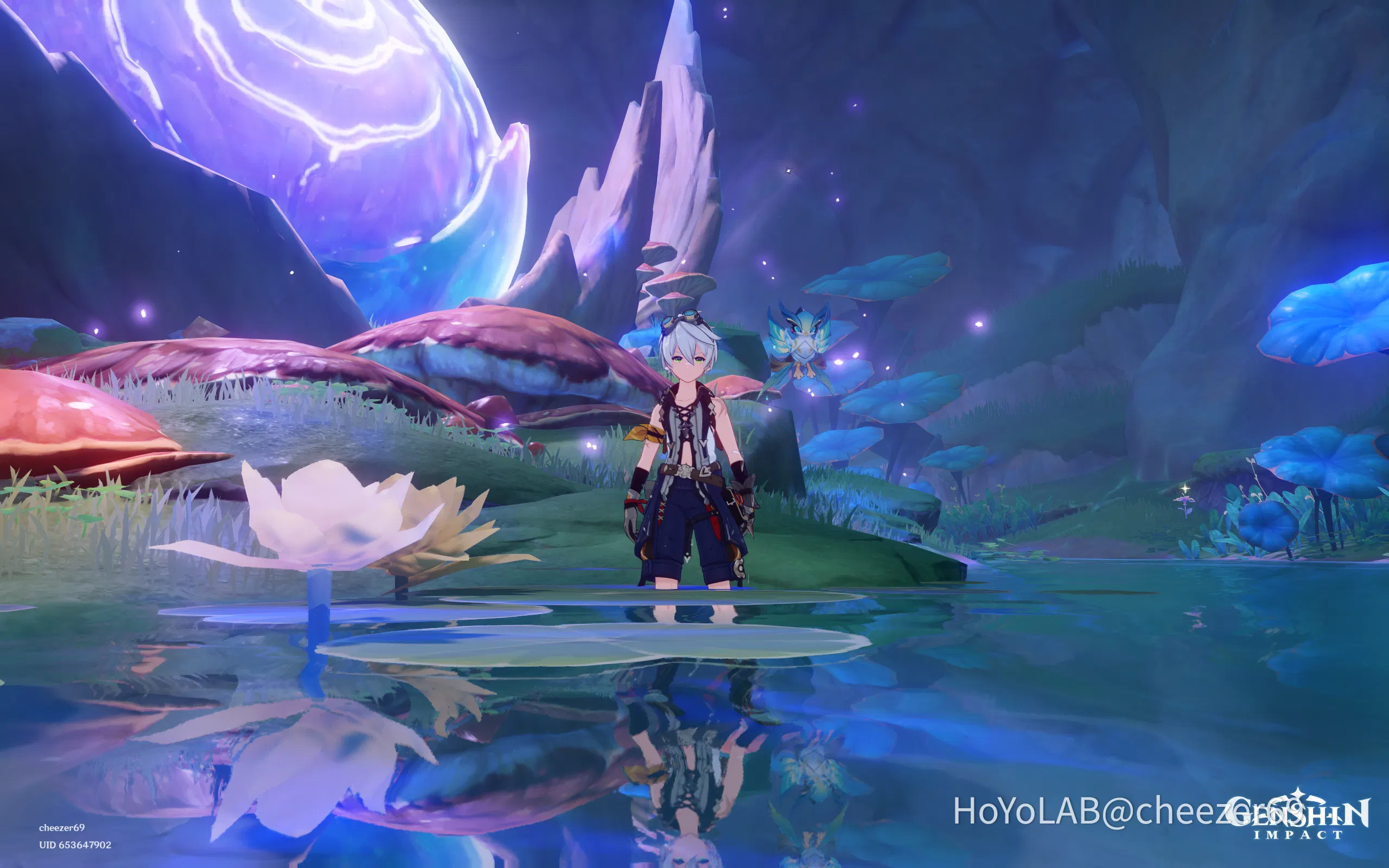 in sumeru forest Genshin Impact | HoYoLAB