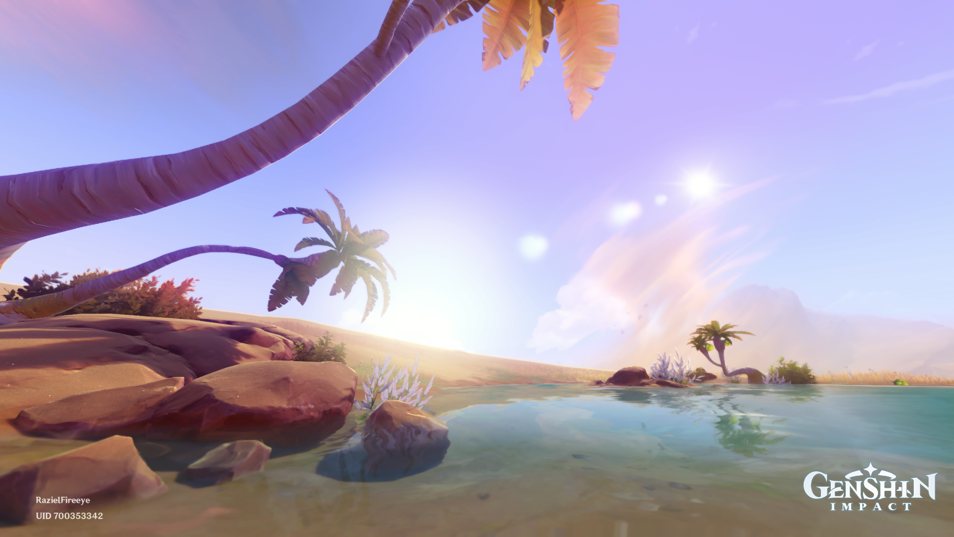 Beautiful Oasis of Sumeru Genshin Impact | HoYoLAB