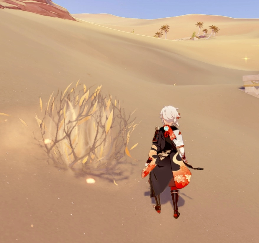 Tumbling Plants & hidden achievement Genshin Impact | HoYoLAB