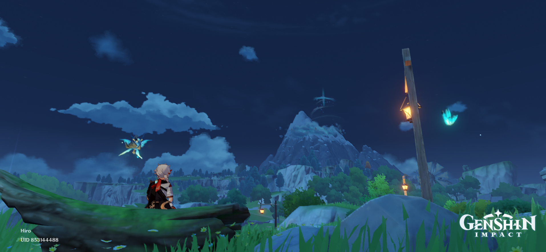 Night of mondstadt Genshin Impact | HoYoLAB
