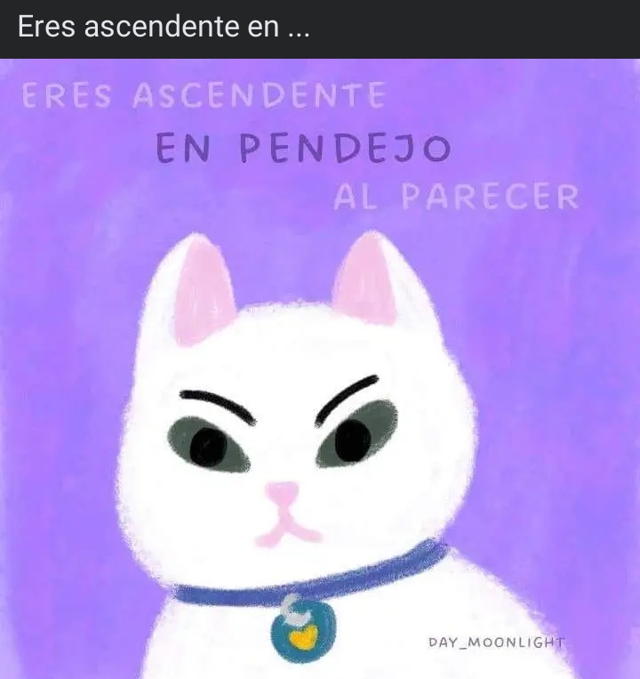 moona se enojo Genshin Impact | HoYoLAB