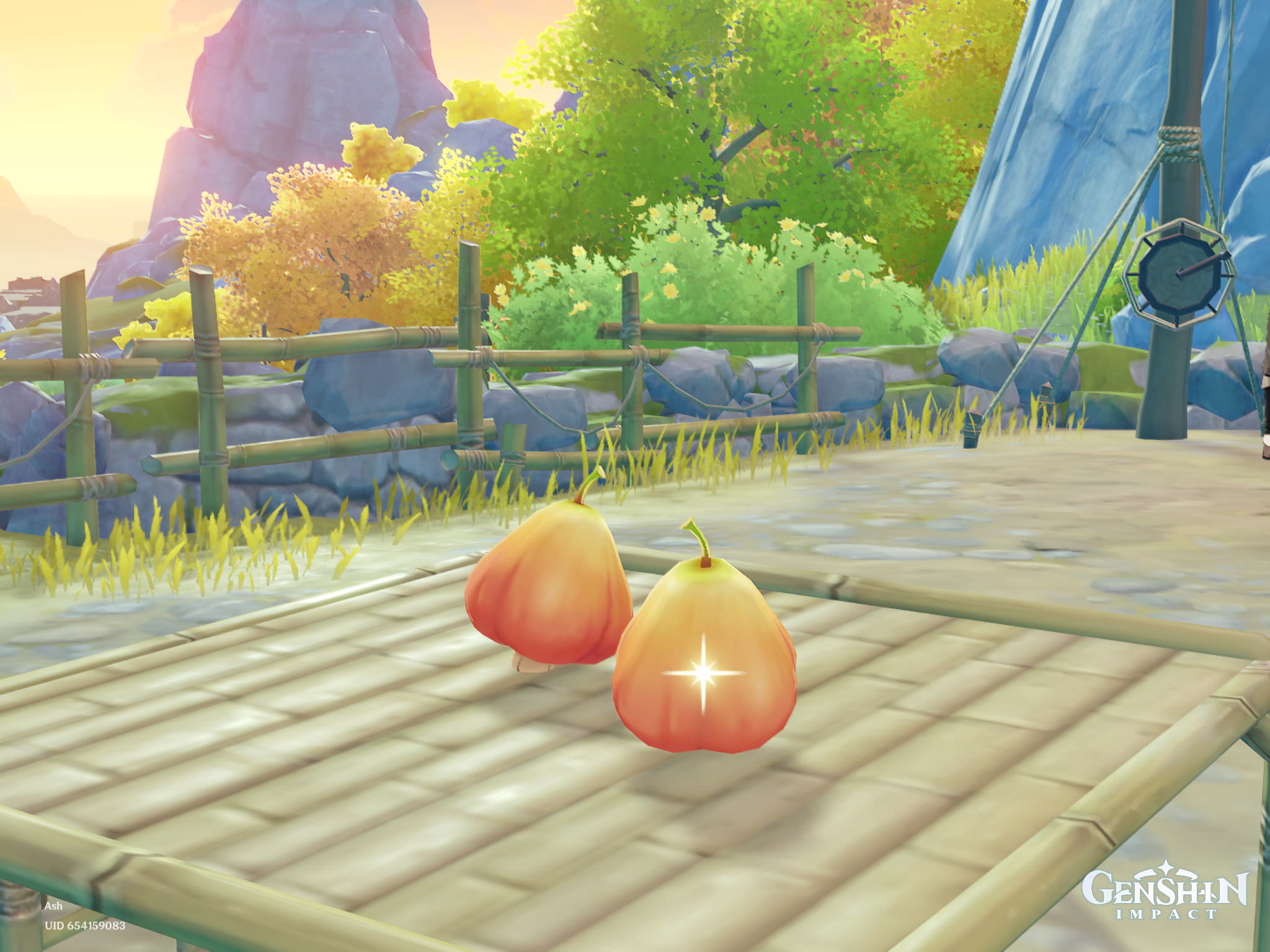 Sunsettia on a table Genshin Impact | HoYoLAB