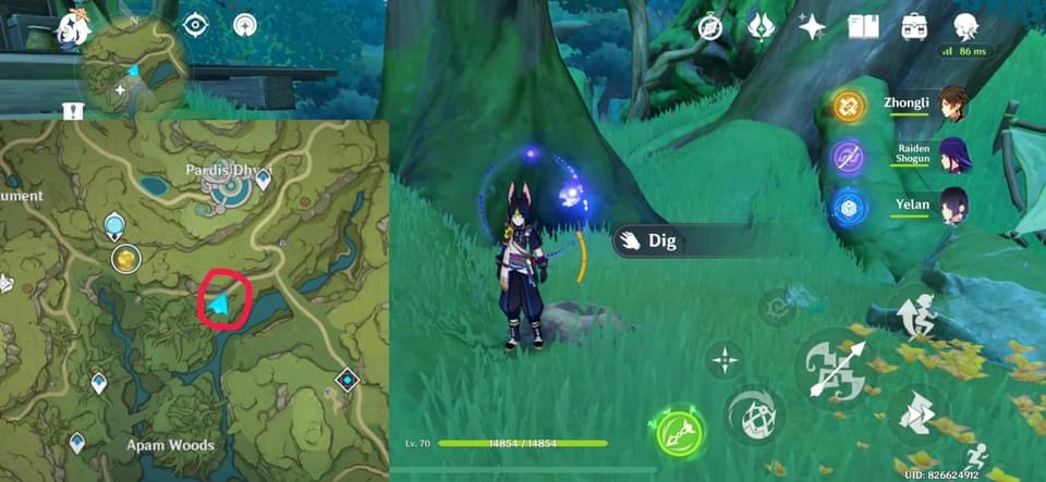 Tina Genshin Impact | HoYoLAB