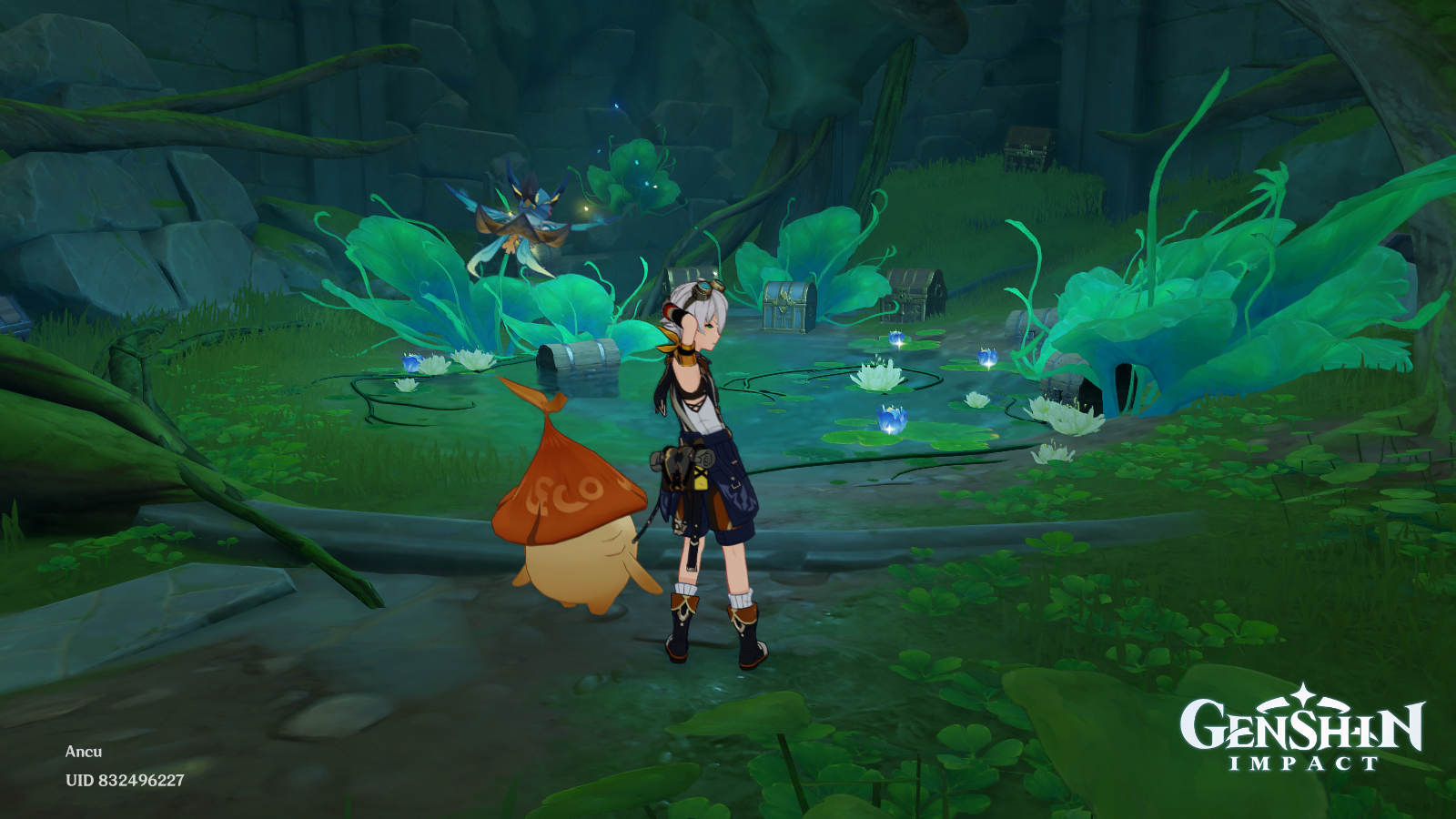 Gift Genshin Impact | HoYoLAB