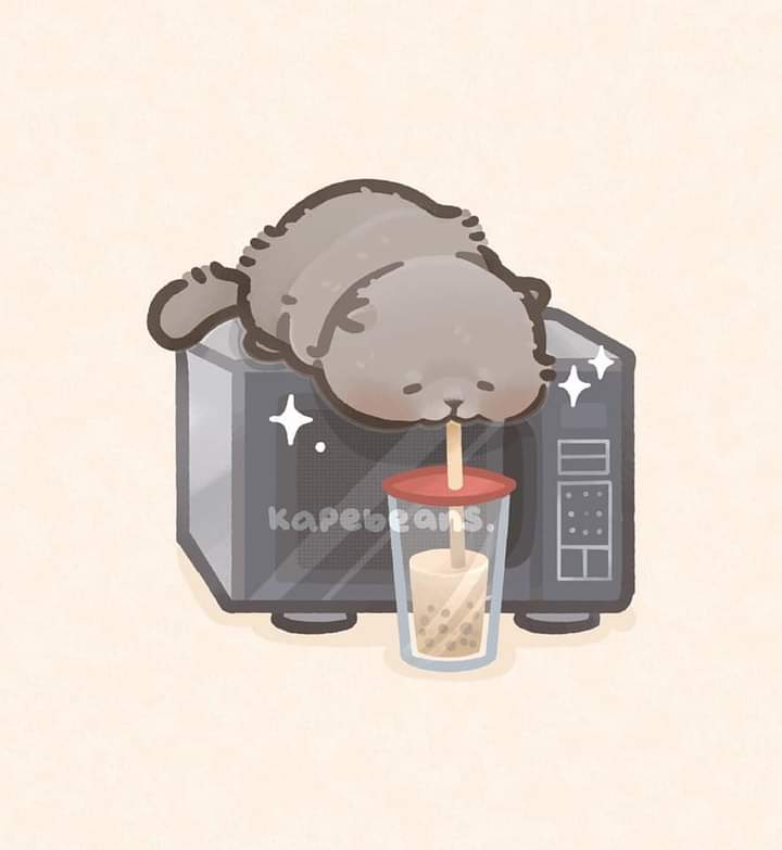 Cute cat Genshin Impact | HoYoLAB