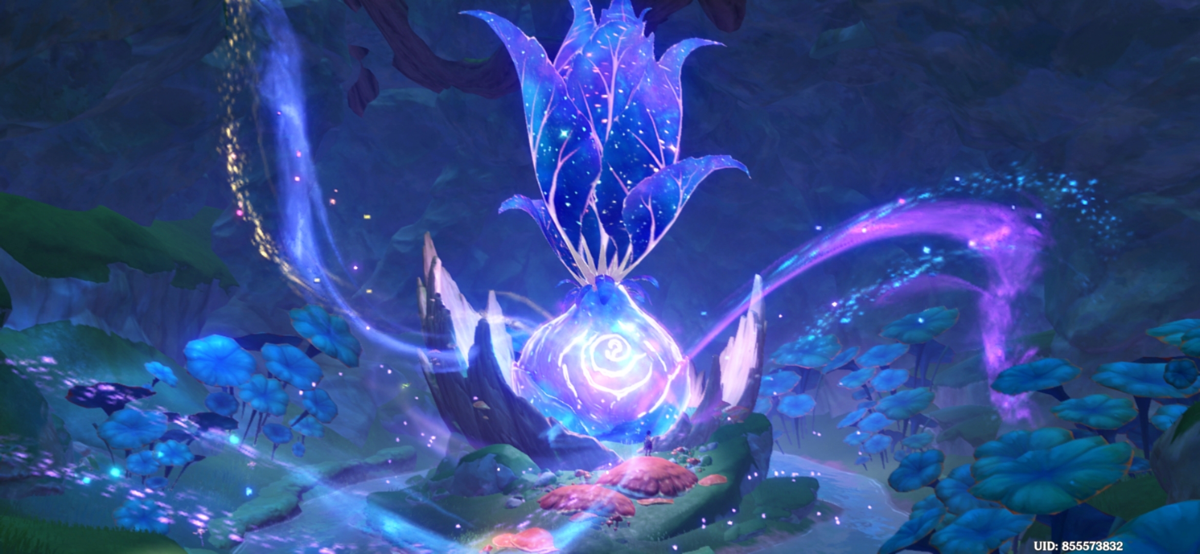riri° Genshin Impact | HoYoLAB