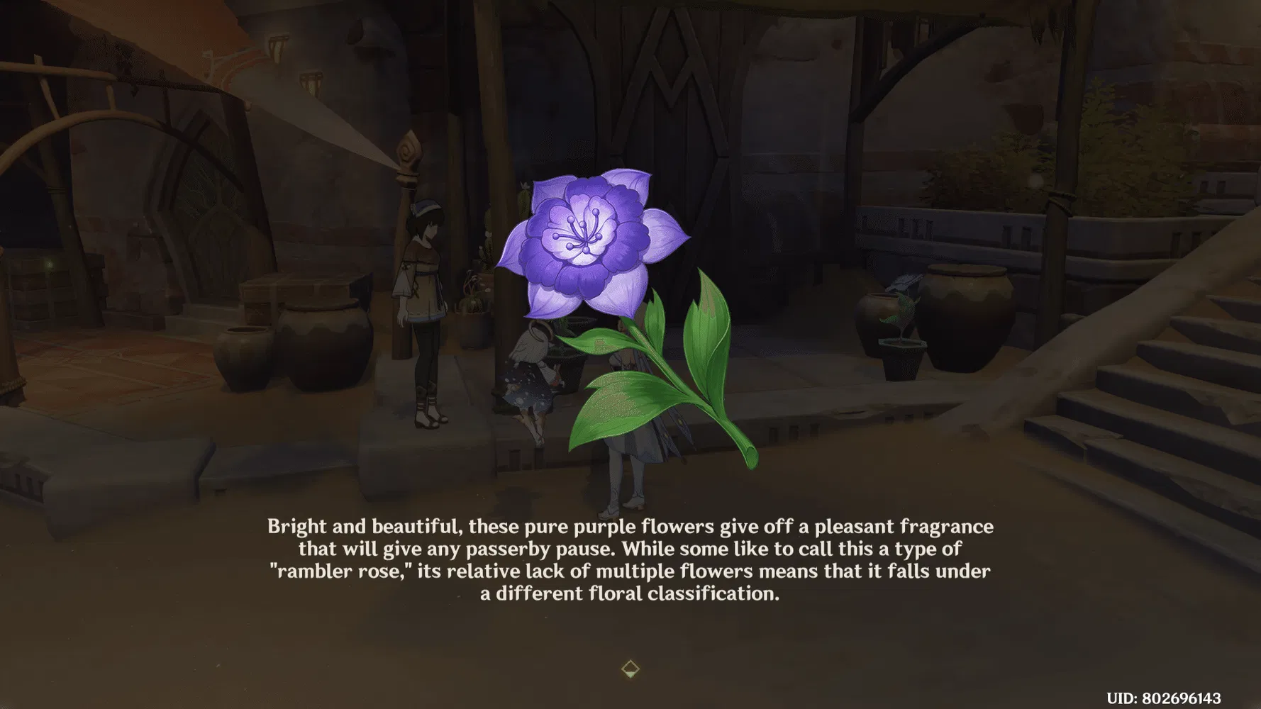 "The Exile and A Gift of Rose" Hidden Quest Masterlist (Updated w ...