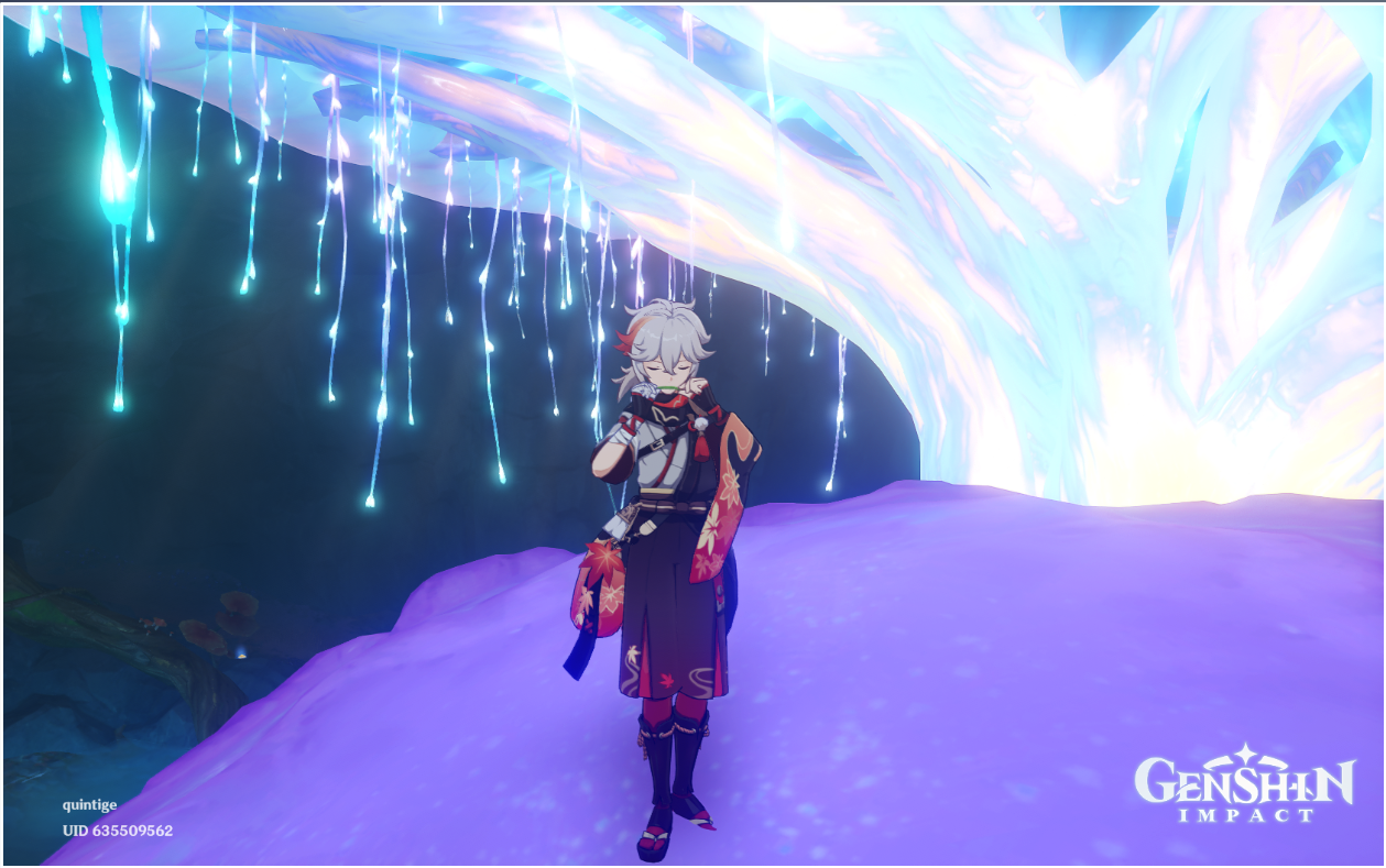 chasm Genshin Impact | HoYoLAB
