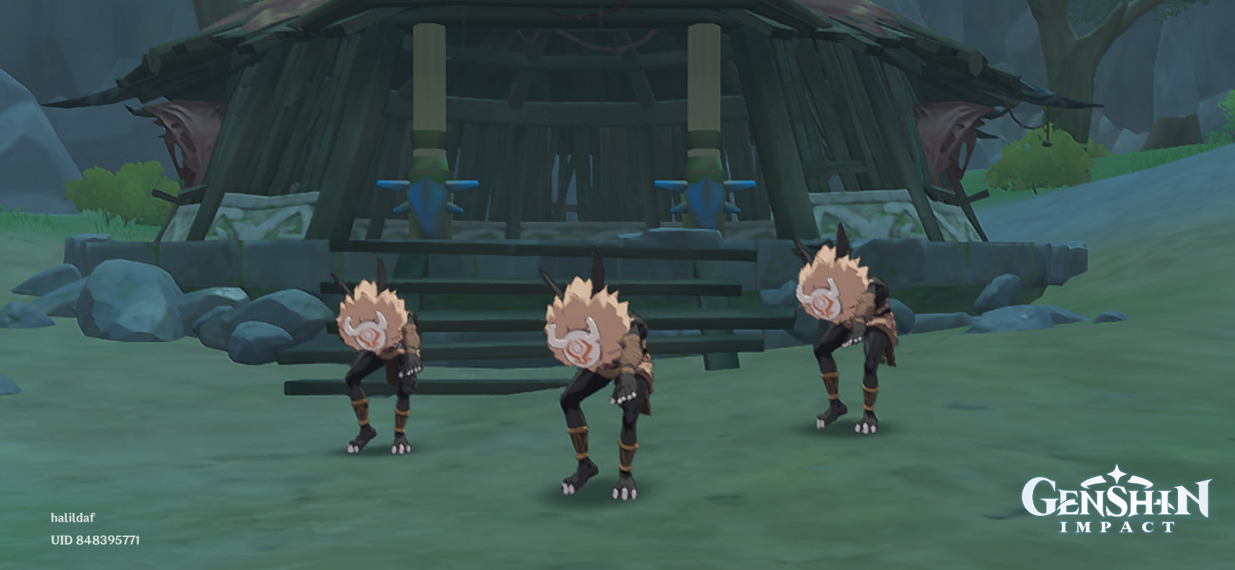 THE H-CURL Genshin Impact | HoYoLAB