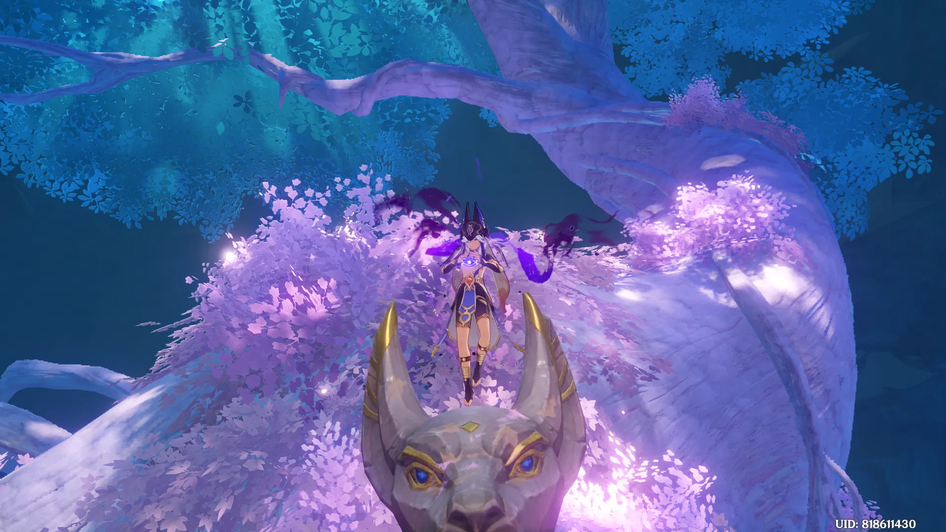 Cyno and Anubis Genshin Impact | HoYoLAB