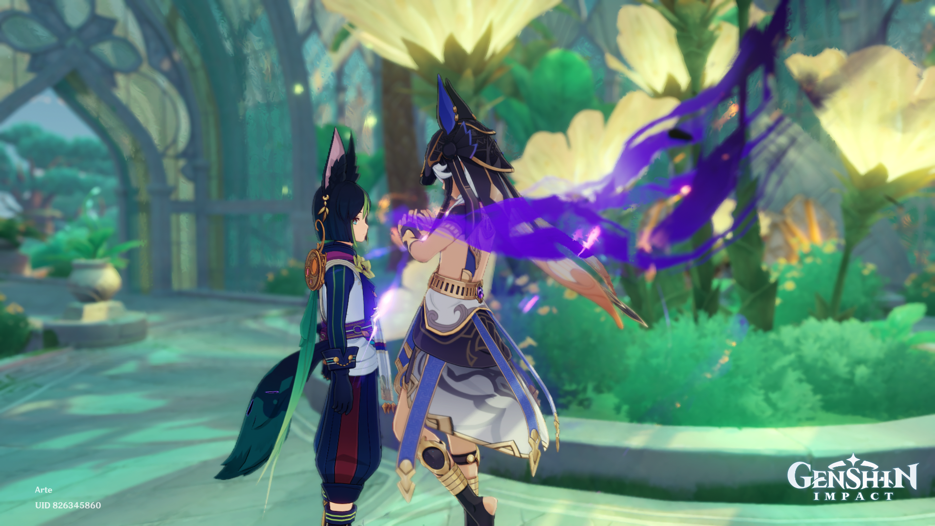 cynonari Genshin Impact | HoYoLAB