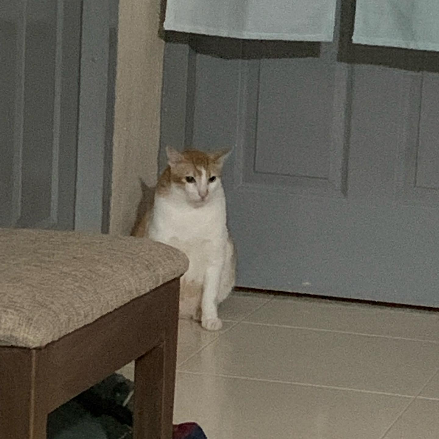 peeposad | HoYoLAB