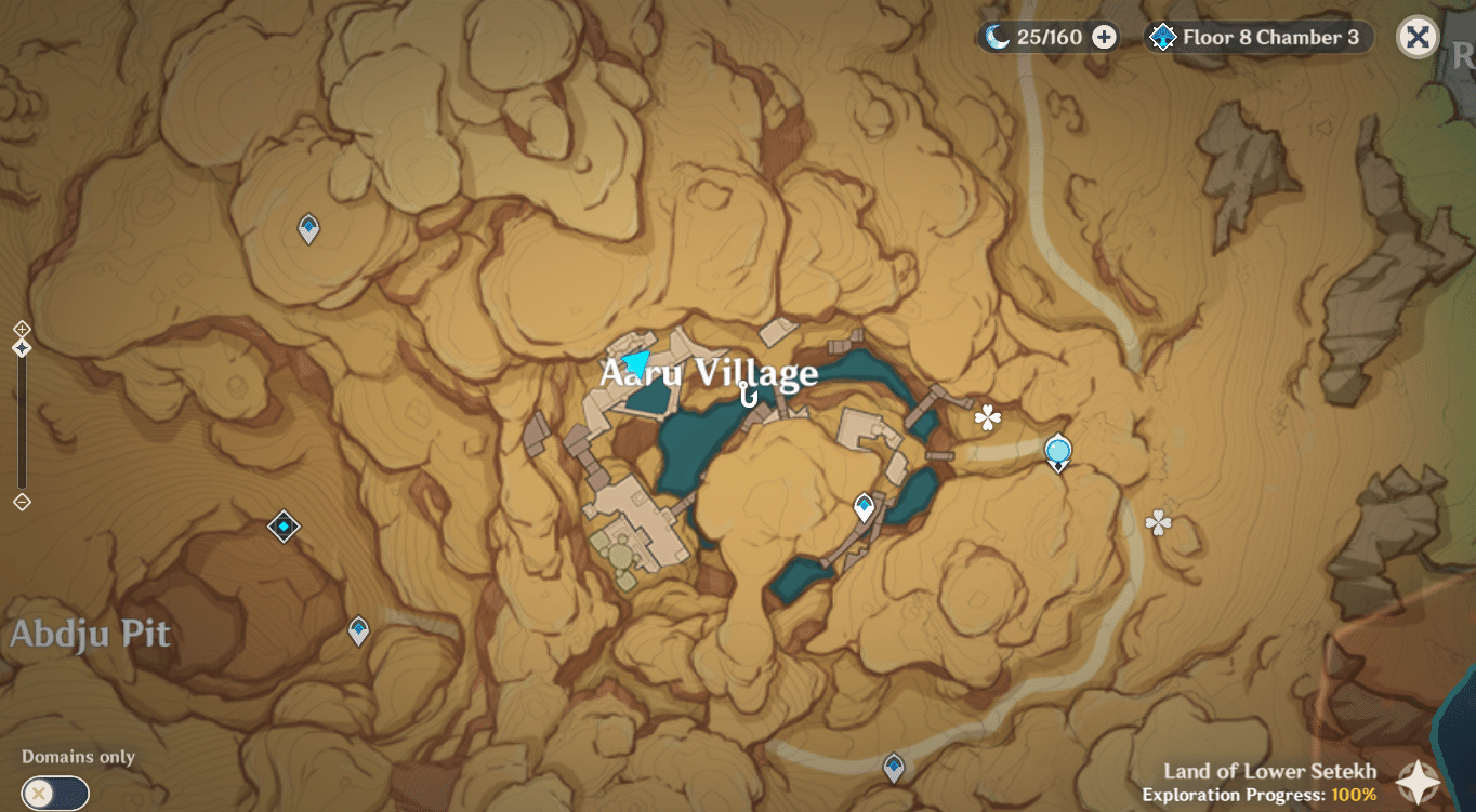 Talk with this npc kid that running around at near waterfall of Aaru ...