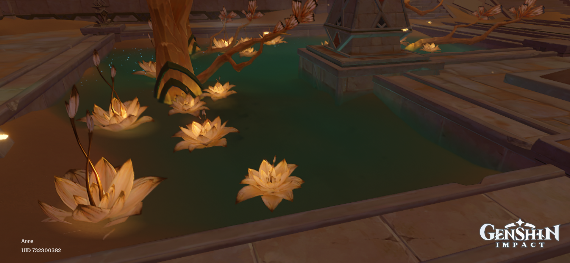 Gorgeous flowers Genshin Impact | HoYoLAB