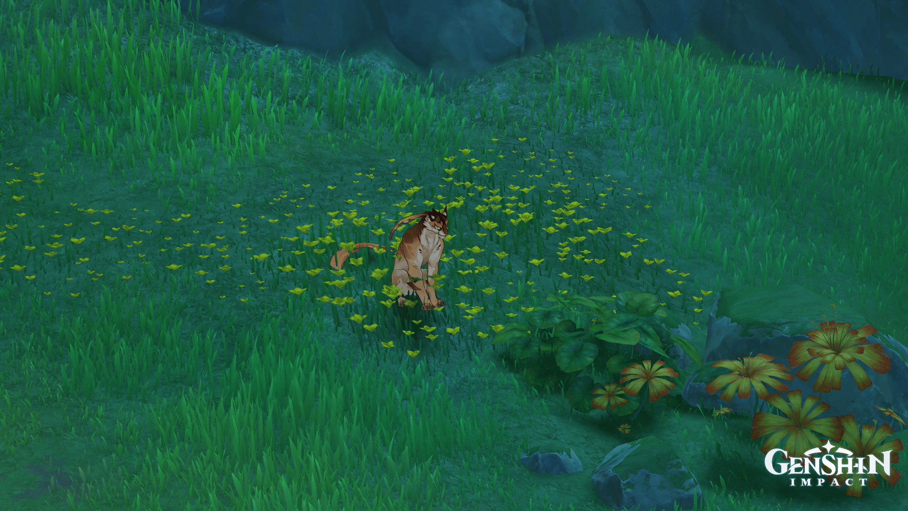 a tiger :'D Genshin Impact | HoYoLAB