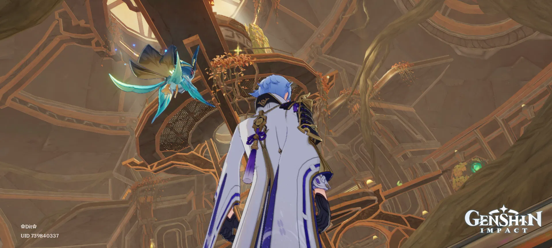 Sumeru's Roses Genshin Impact | HoYoLAB