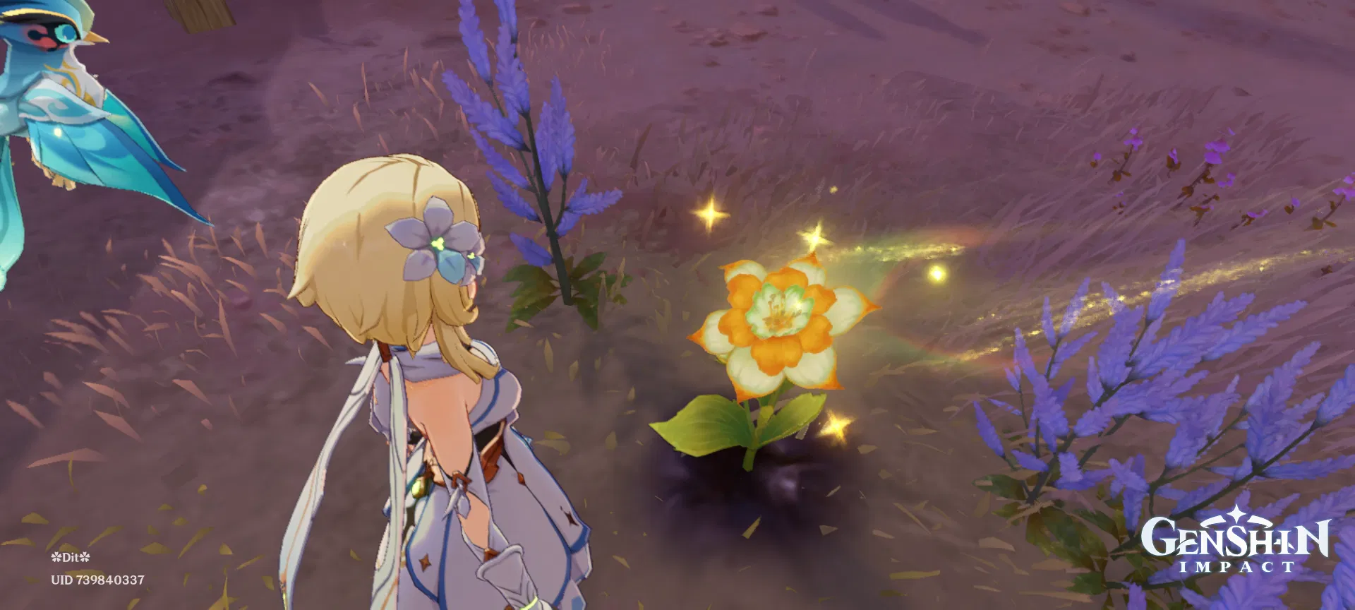 Sumeru's Roses Genshin Impact | HoYoLAB