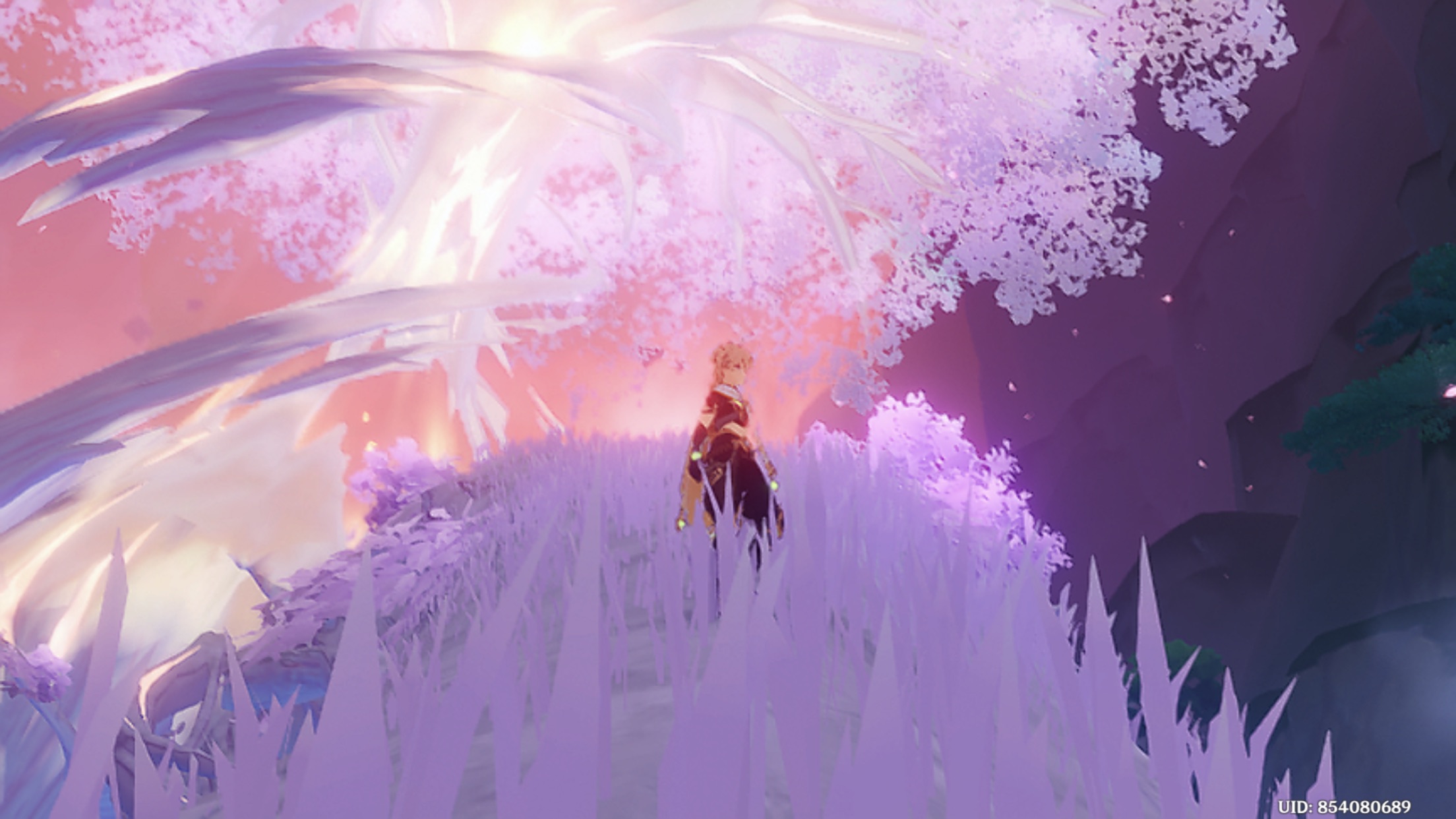 Tree Genshin Impact | HoYoLAB