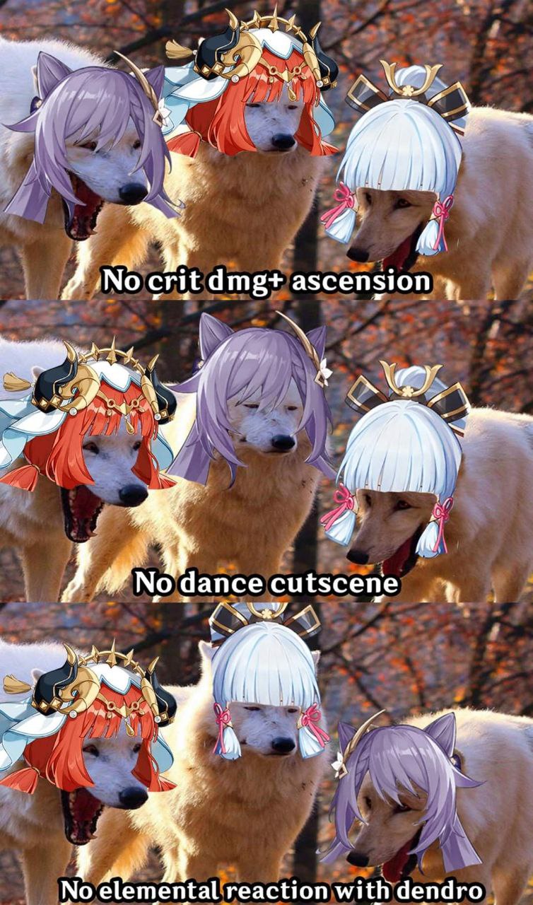 it's like a race for them Genshin Impact | HoYoLAB