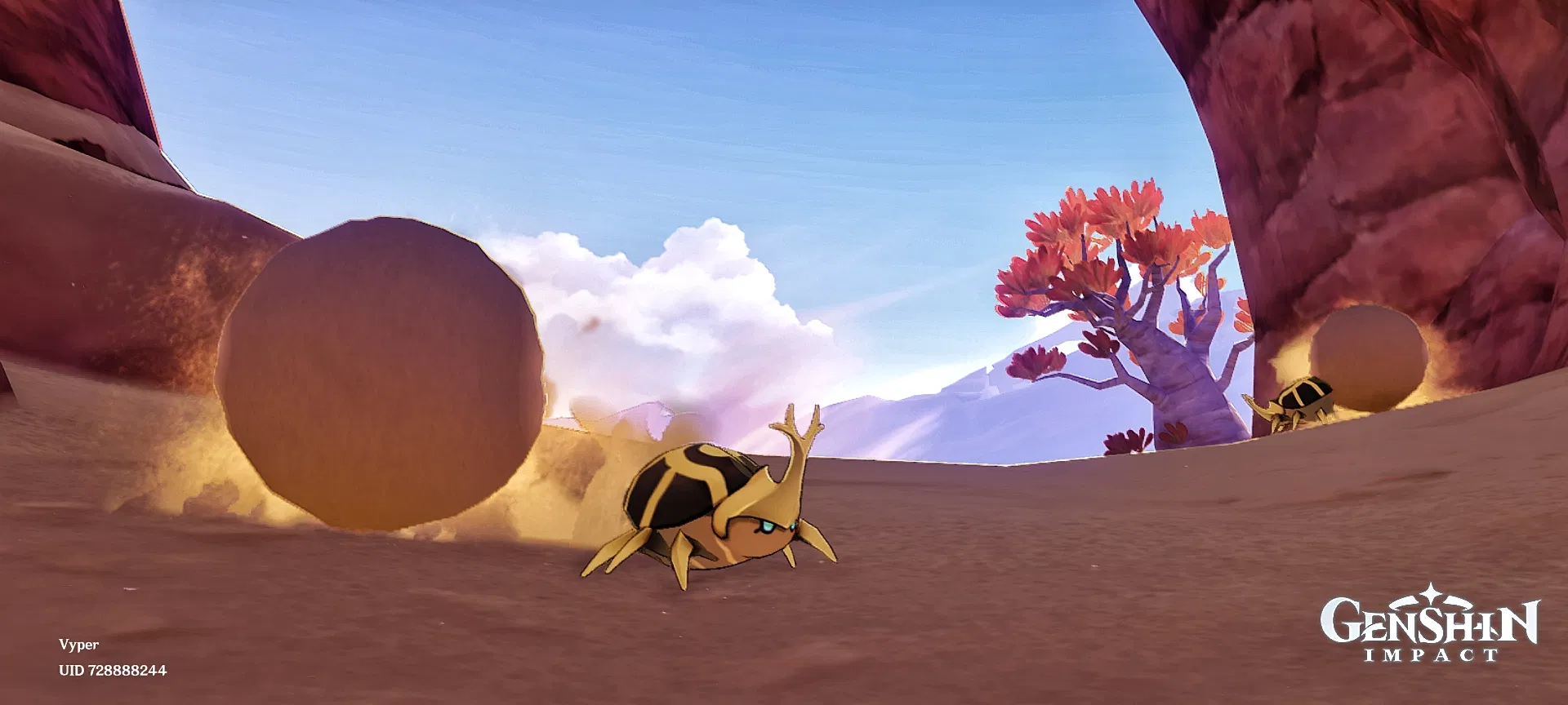 Desert Scarab Genshin Impact | HoYoLAB