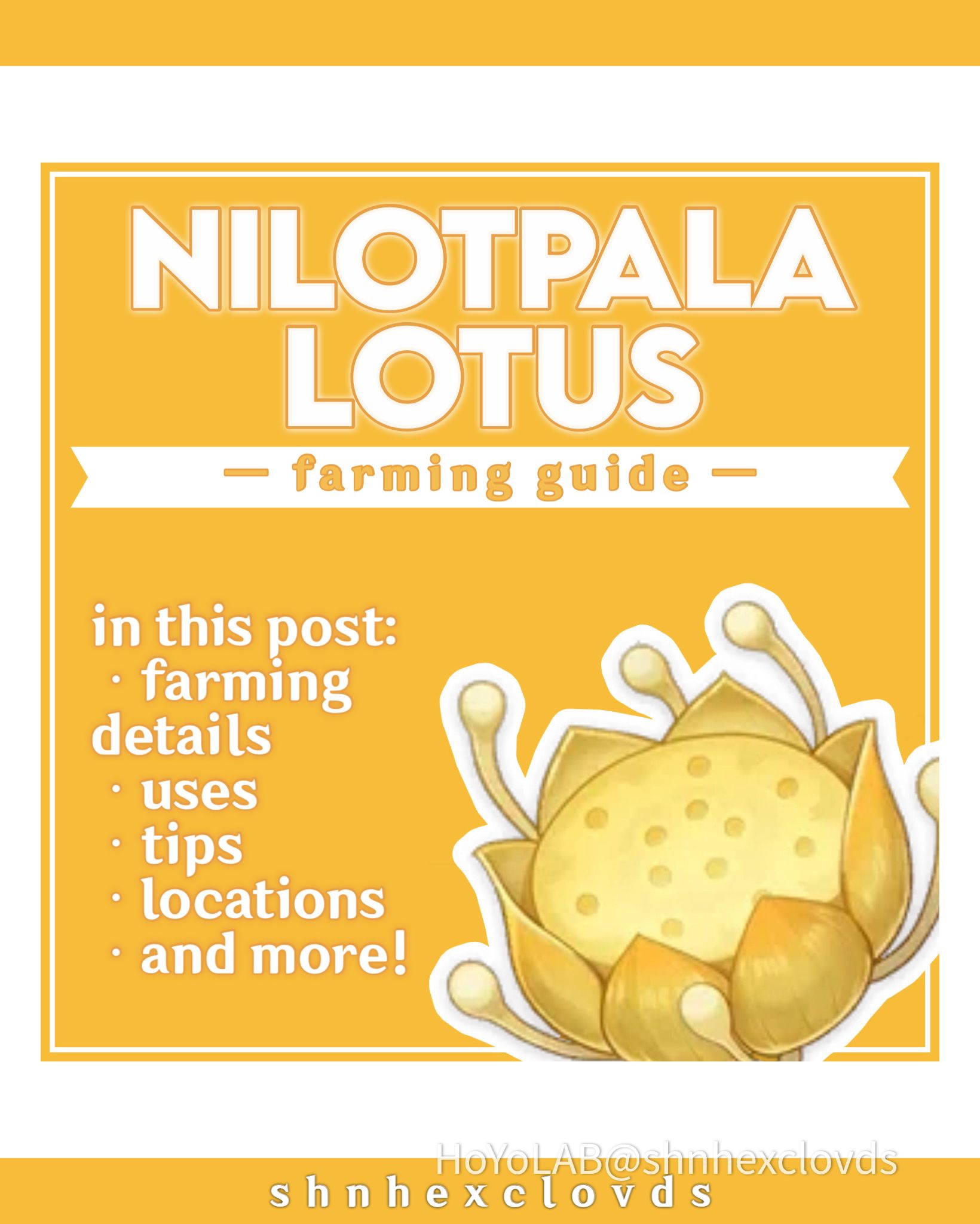 Nilotpala Lotus farming guide [3.1] Genshin Impact | HoYoLAB