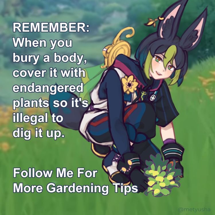 Genshin Impact Memes & Cursed Images - Day 4 Genshin Impact | HoYoLAB