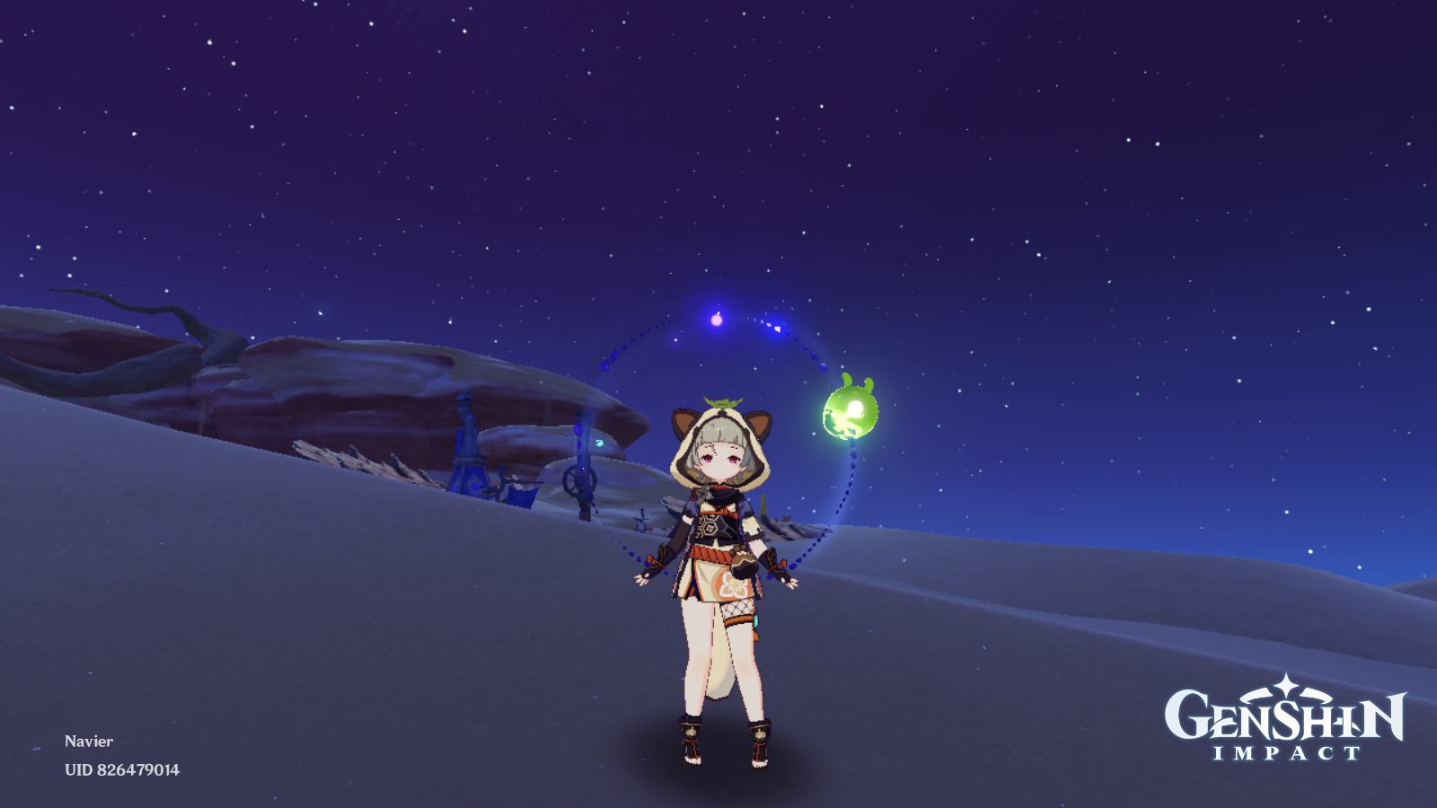 Peaceful Night Sky in Sumeru Genshin Impact | HoYoLAB