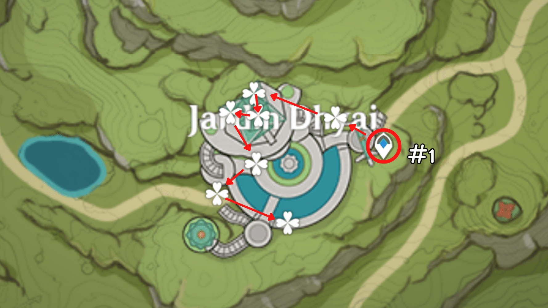 🌷 GUÍA RÁPIDA DE FARM DE ORQUÍDEA PADISHÁ 🌷 Genshin Impact | HoYoLAB