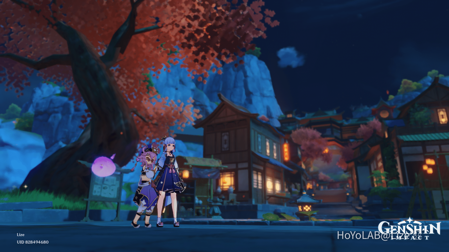 (Part 1) How to Take Nice looking Character Portraits in Genshin Impact ...