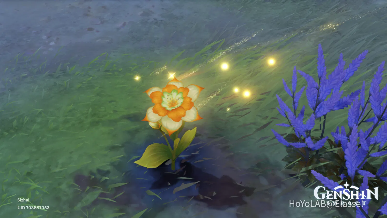 Flower of memories Genshin Impact | HoYoLAB