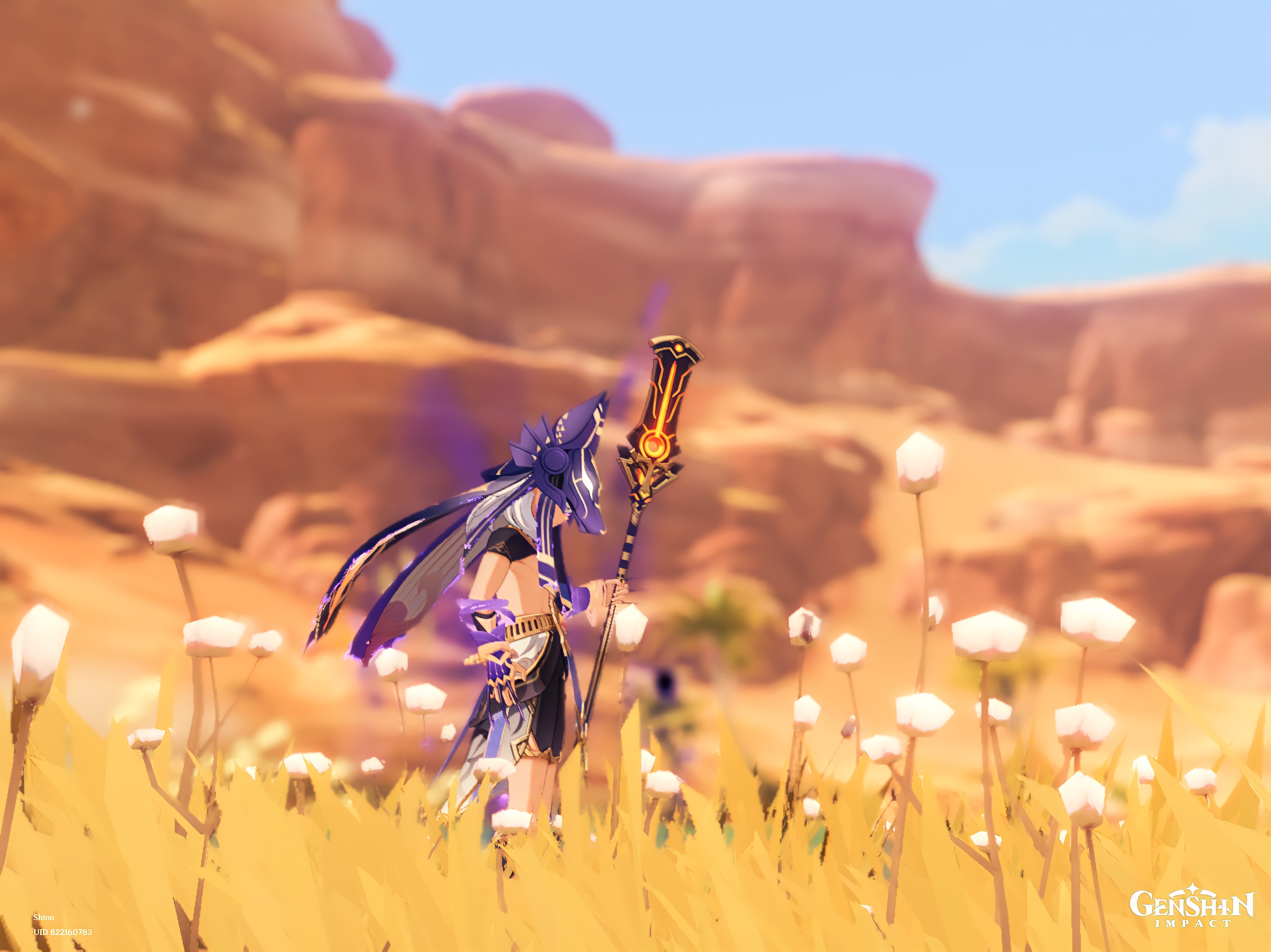 Cyno is home Genshin Impact | HoYoLAB