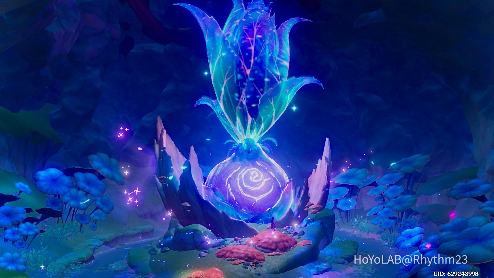 Tree of dreams Genshin Impact | HoYoLAB