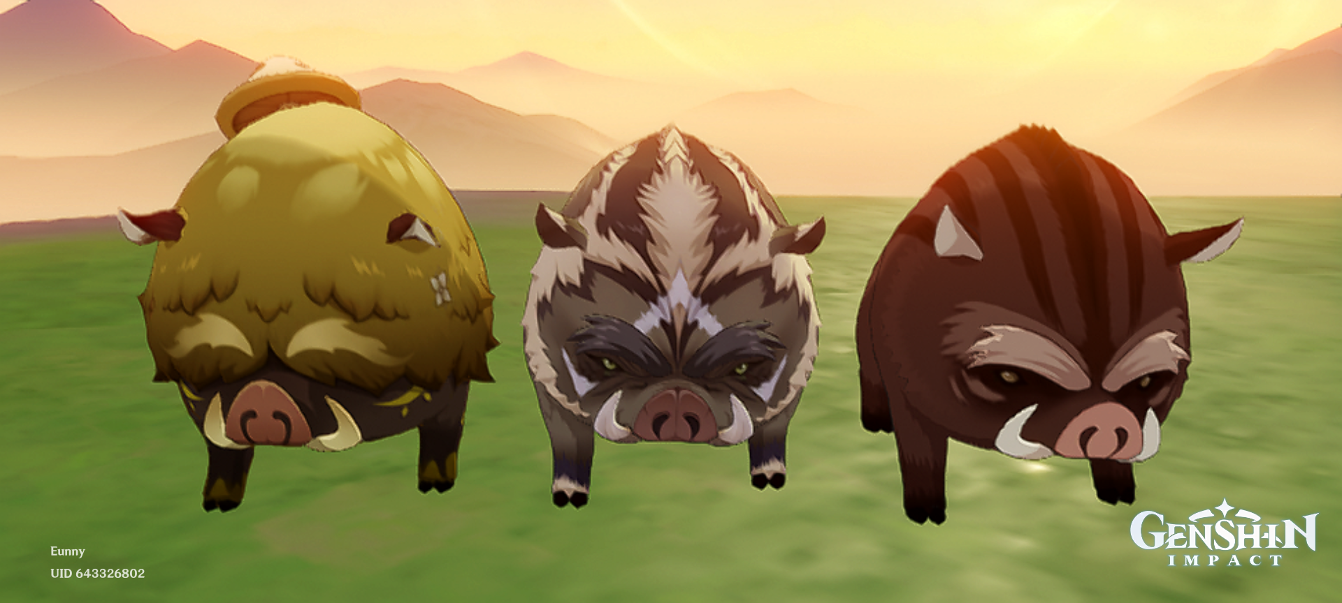 boar Genshin Impact | HoYoLAB