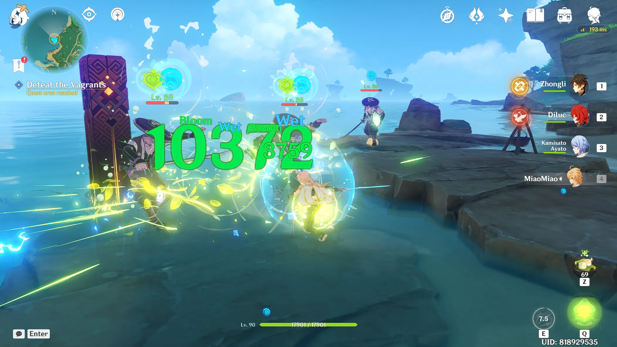 Dps Traveller (Dendro) Genshin Impact | HoYoLAB