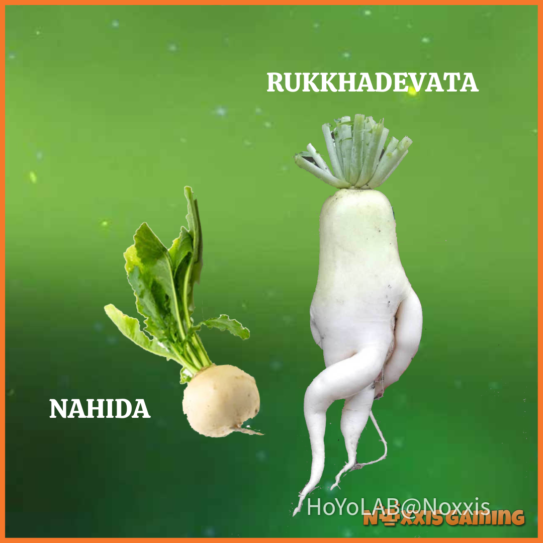 Nahida & Rukkhadevata Genshin Impact | HoYoLAB