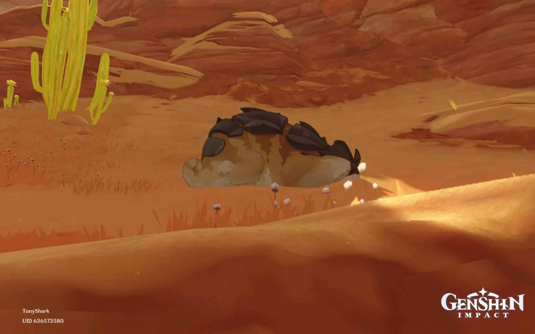 Desert Sumpter Beast Genshin Impact | HoYoLAB