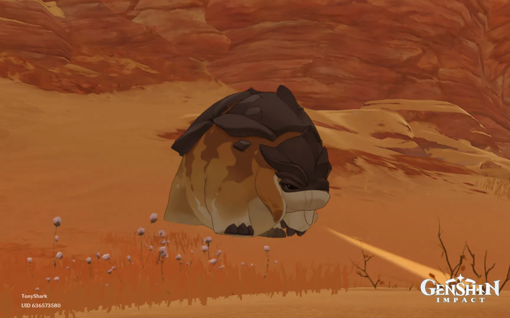 Desert Sumpter Beast Genshin Impact | HoYoLAB