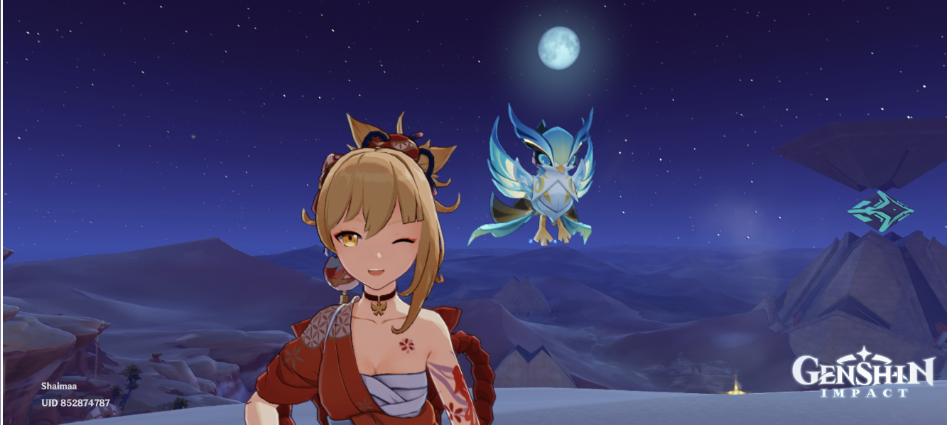 Moon Genshin Impact | HoYoLAB