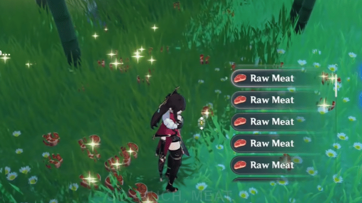 so many meat in sumeru Genshin Impact | HoYoLAB