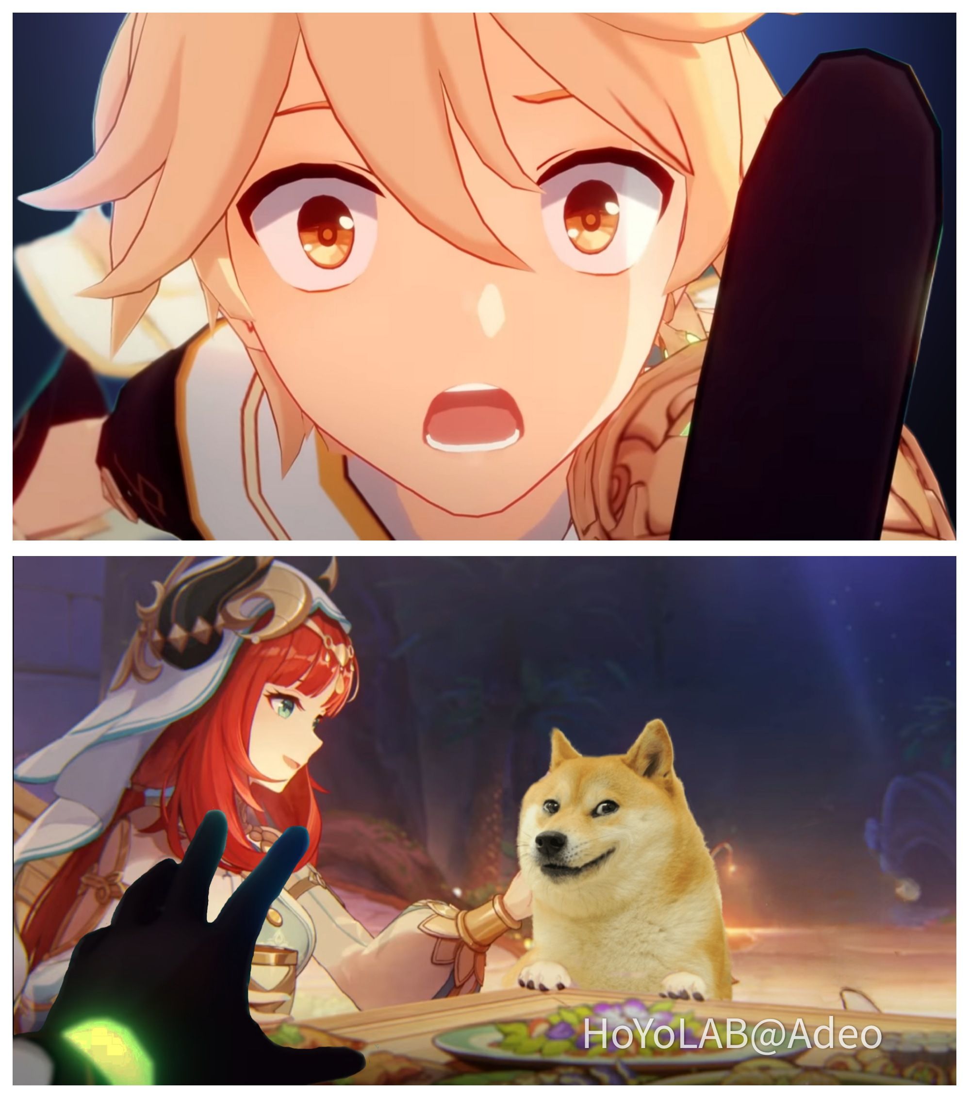 Aether Vs Doge 💥 Genshin Impact | HoYoLAB