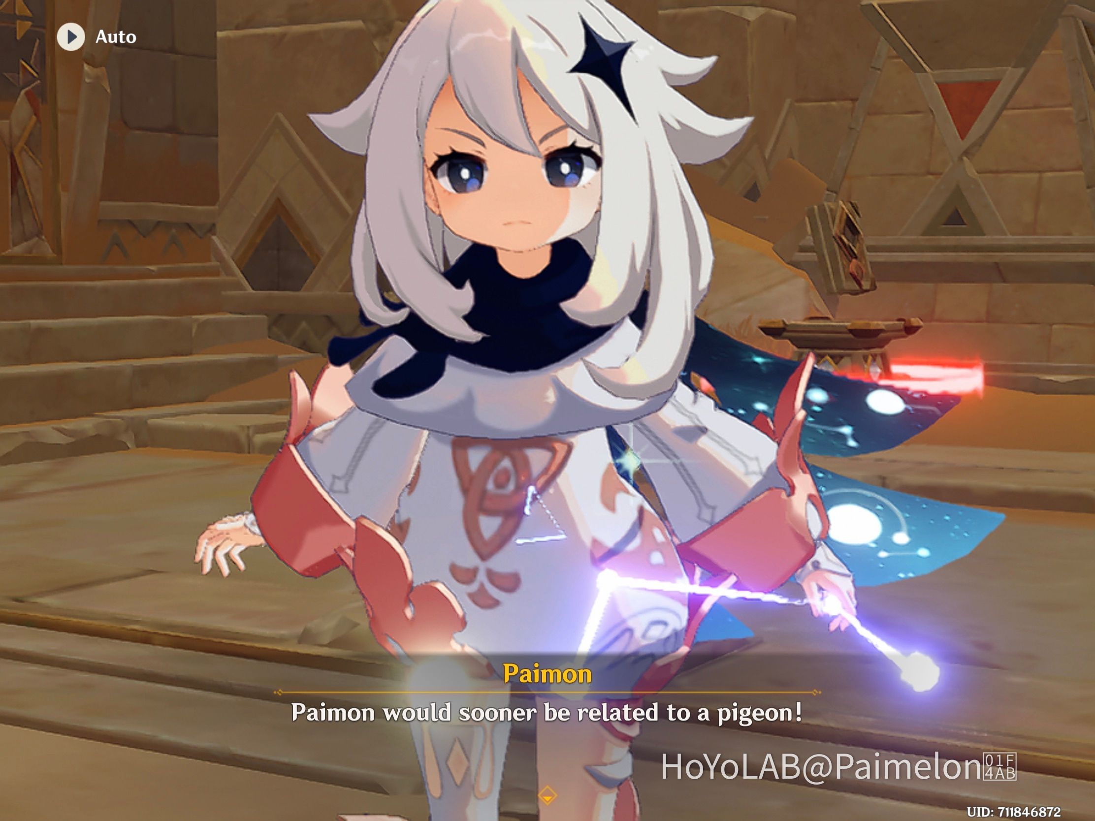 Paimon is a pigeon Genshin Impact | HoYoLAB