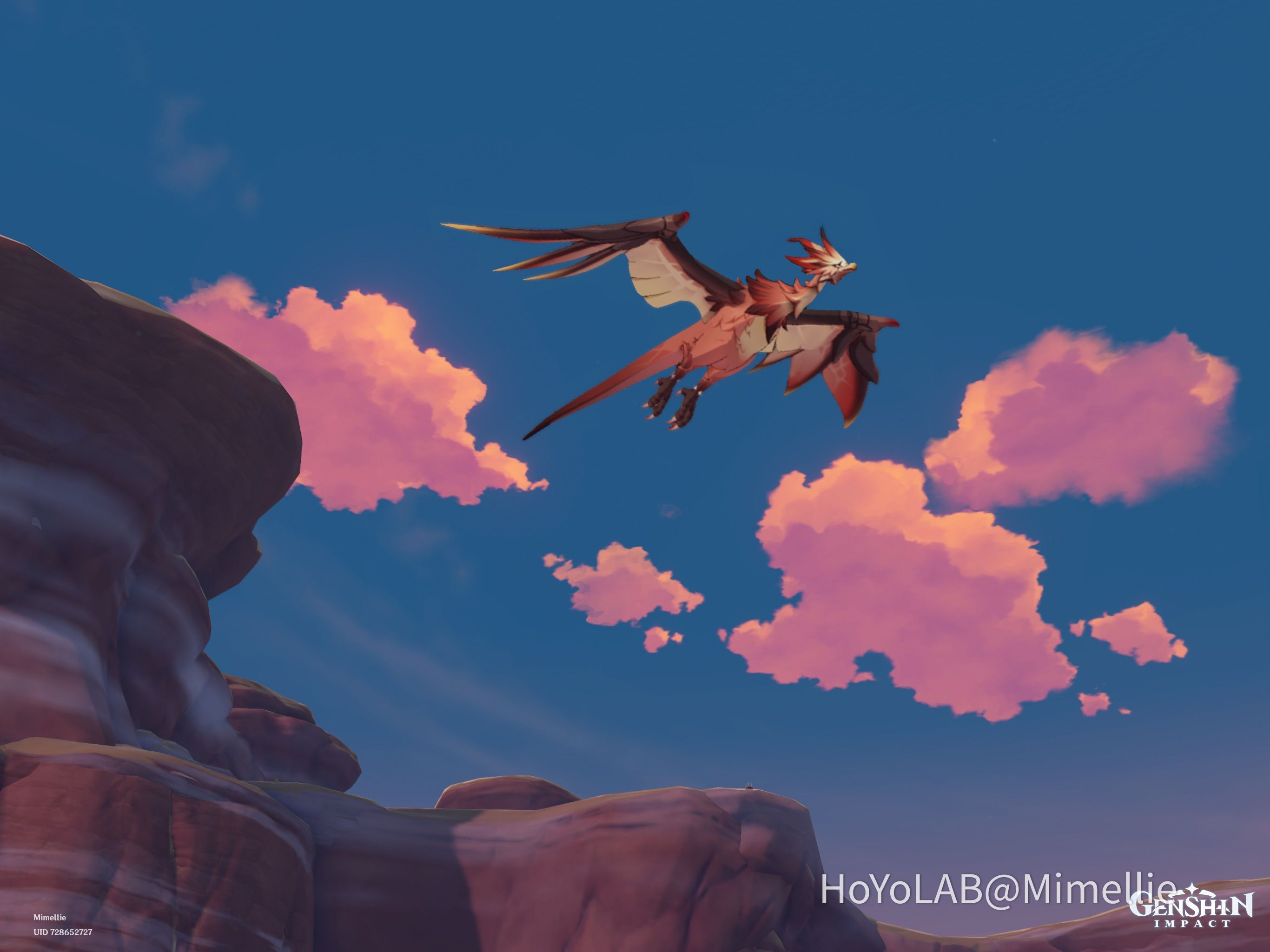 Desert Creatures of Sumeru - Red Vulture Genshin Impact | HoYoLAB