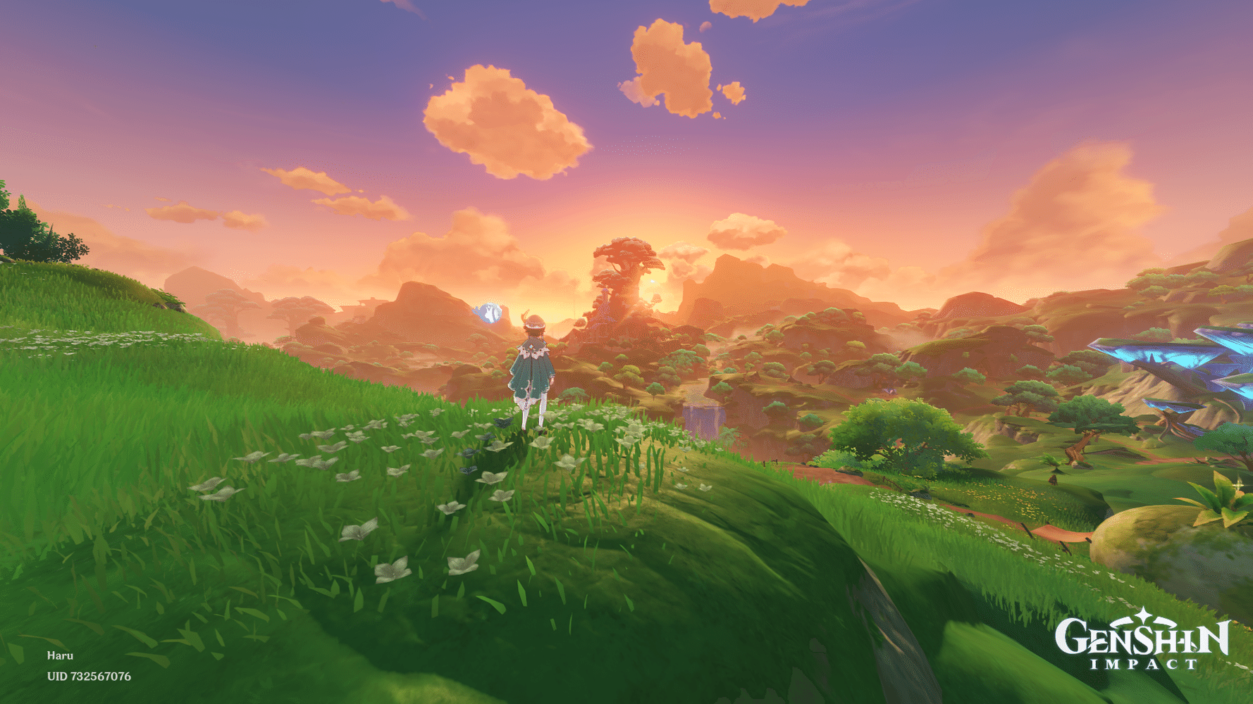 Sumeru looks beautiful~~ Genshin Impact | HoYoLAB