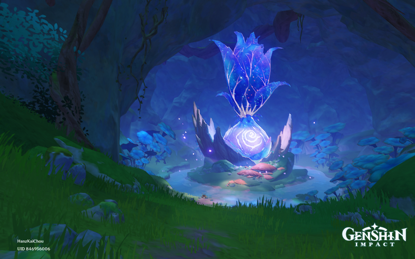 Vanarana Tree of Dreams Genshin Impact | HoYoLAB