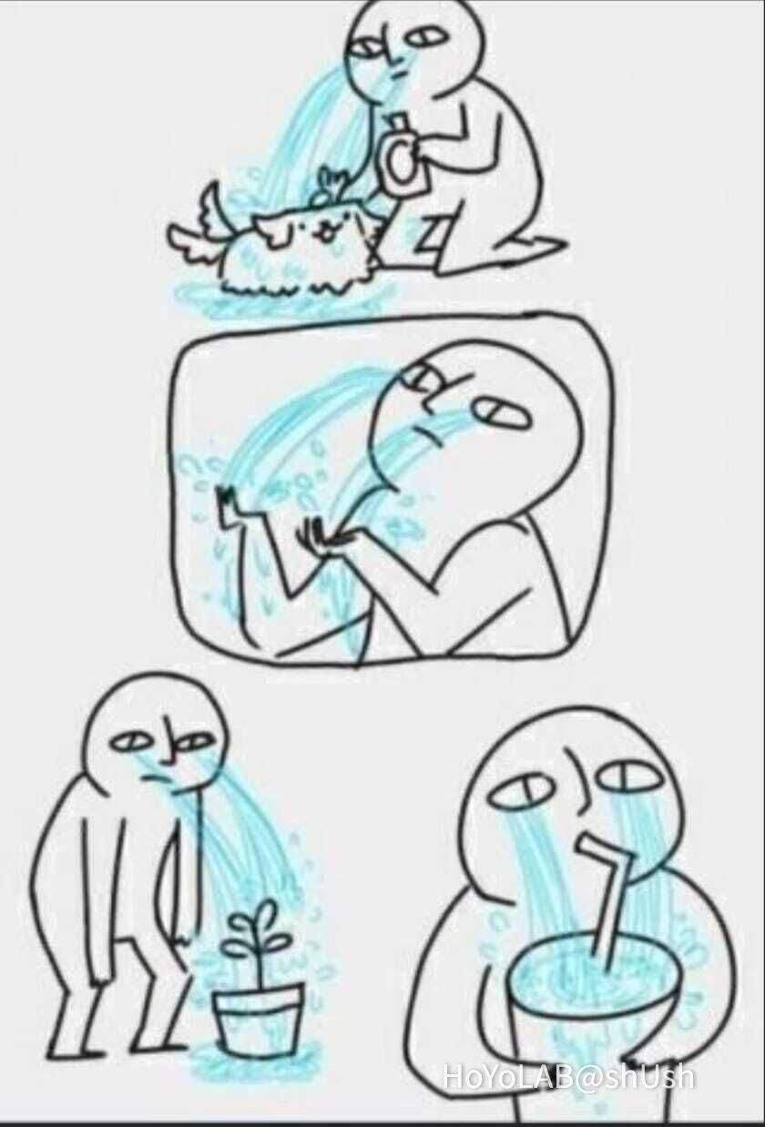 FINAL EXAM TMR Genshin Impact HoYoLAB final-exam-tmr-genshin-impact-hoyolab