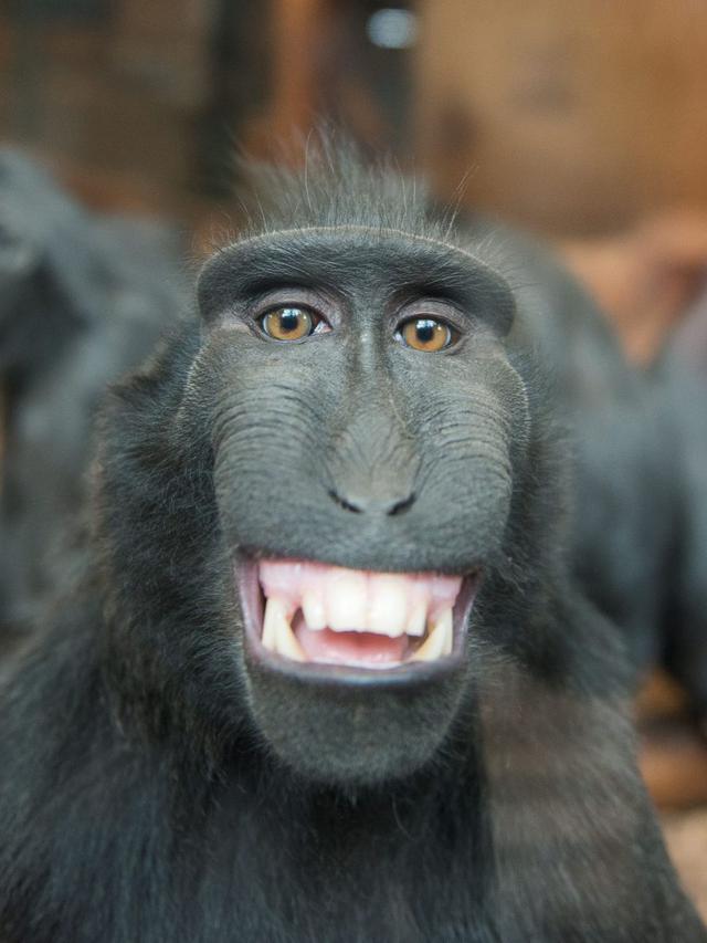 ble Genshin Impact | HoYoLAB