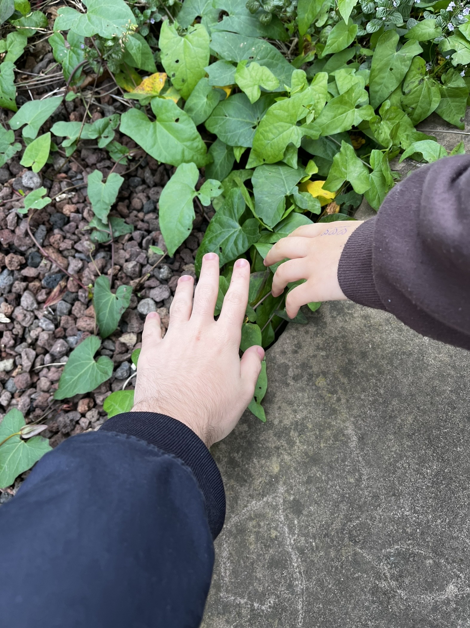 When genshin players touch the grass for the first time 🌿 Genshin ...