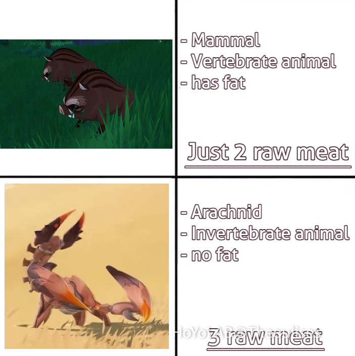 Sumeru's definitely the MEAT nation Genshin Impact | HoYoLAB