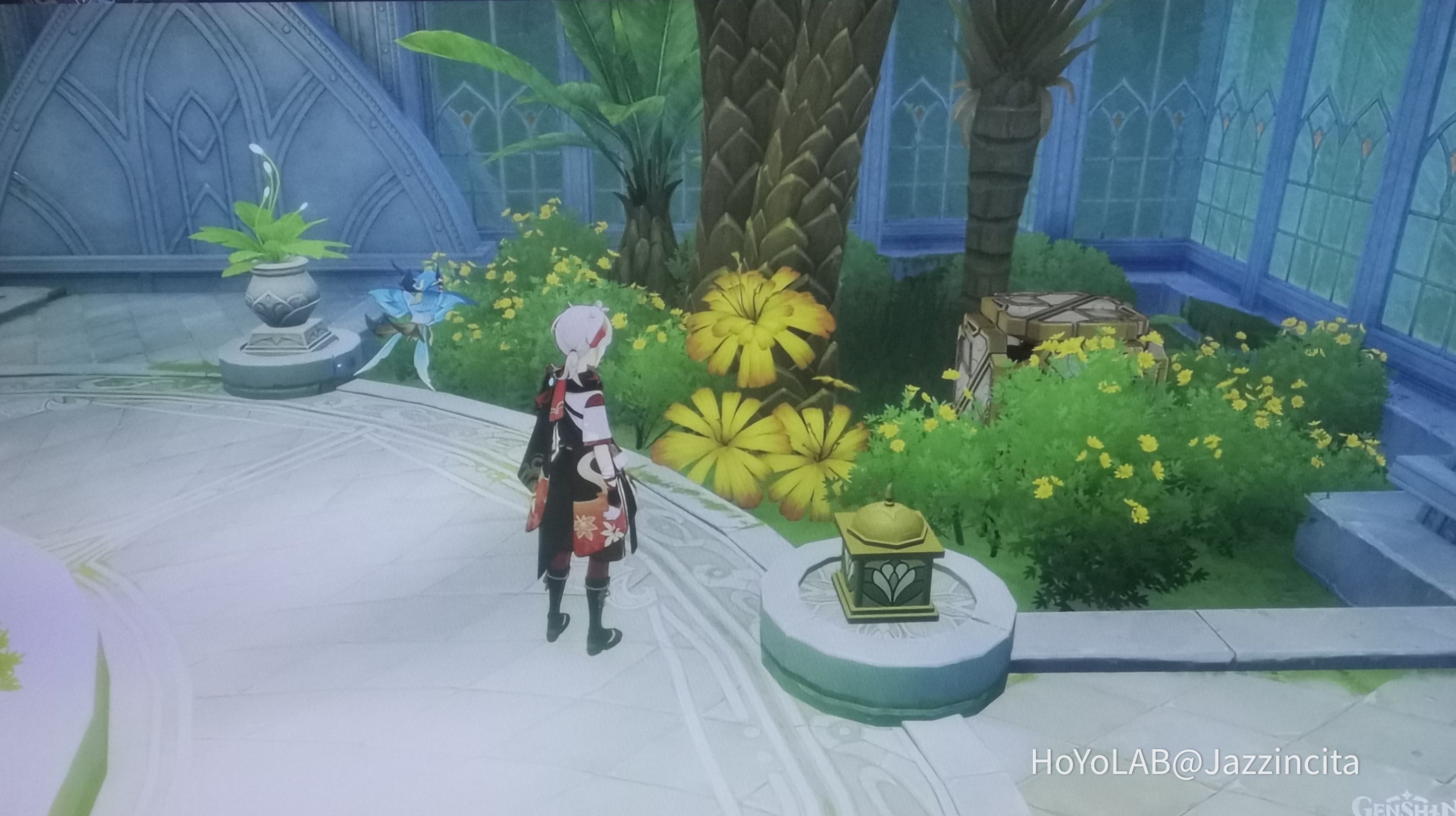 Karkata sleep - Karkata wakey-wakey Genshin Impact | HoYoLAB